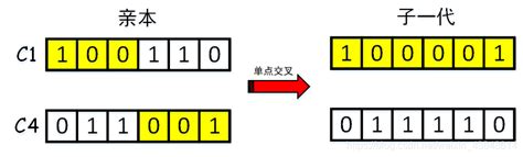 数学建模——遗传算法（genetic algorithm ga） 遗传算法中有结转分数 csdn博客