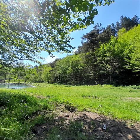 Bilge Doğan Youtube