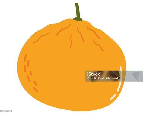 Ilustración De Clementina De La Fruta En Estilo Simple Dibujado A Mano