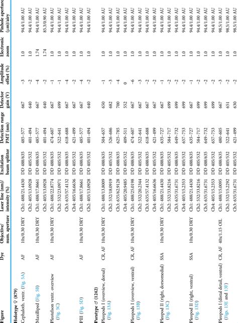 Confocal Laser Scanning Microscope Settings Overview Of Macrostylis