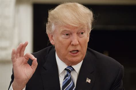 Stanley Leibowitzs Instagram Twitter And Facebook On Idcrawl