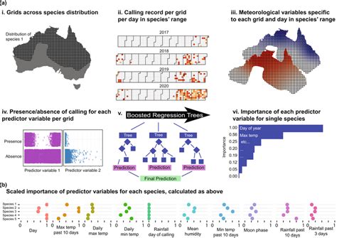 A Methods Illustrated Using A Single Species As An Example Frog Call Download Scientific