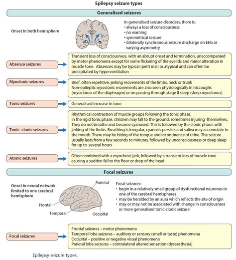 Epilepsy Types