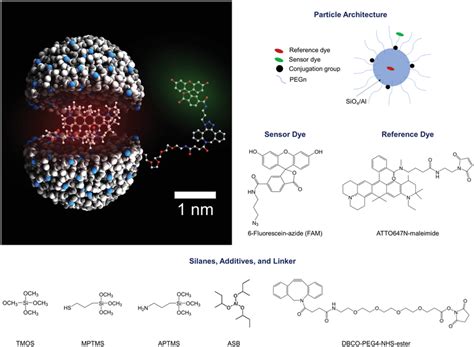 Molecular Rendering And Illustration Of Nanosensor Particle Download Scientific Diagram
