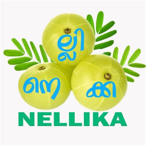 Nellikka Youtube