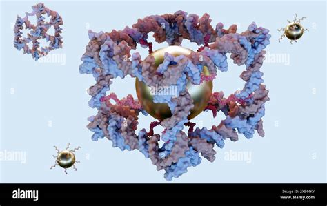 3d Rendering Of Gold Nanoparticles Conjugated Inside Of The Construction From Dna Of A