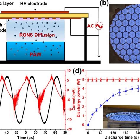 A Schematic Diagram Of The Surface Discharge Device B Photograph