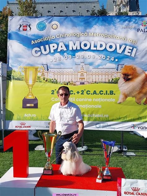 Vali72 Barbat 54 Ani Iasi Romania