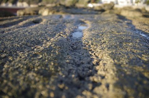 Premium Photo Surface Level Of Road