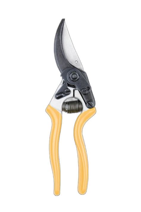 Leyat Super Pro Swiss Hand Pruner