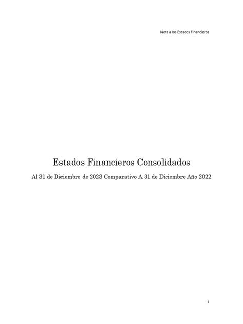 Estados Financieros Bajo Niifs Word Pdf