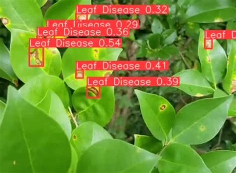 My Internship On Object Detection With Yolov8 Yuva Sai Teja Vanam Posted On The Topic Linkedin