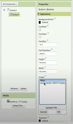 Guide ⭕ Create A Circular Rounded Image Without Using An Extension Tutorials And Guides