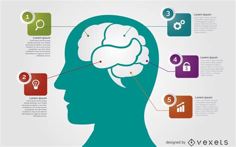 Infografía Tutorial Illustrator Logo Vector Infografía Tutorial Illustrator Logo Vector