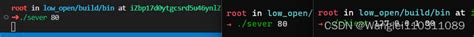 so reuseaddr 和 so reuseport 的区别和用法实例详细探究讲解 soreuseaddr可以解决timewait吗 csdn博客