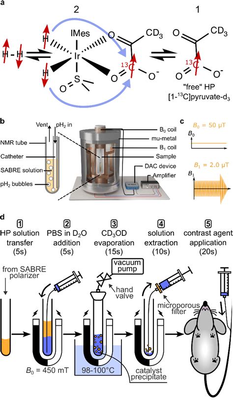 Process Of Slic Sabre Hyperpolarization And Purification Of [1 13