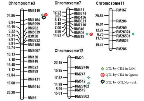 The Qtls Identified Through Three Different Qtl Mapping Software For