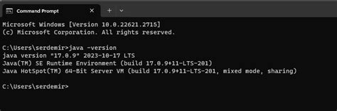 Install Java For Microsoft Windows
