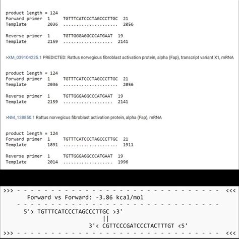 Bioinformatic Primer Analysis Results For Acta2 Primer A Analysis
