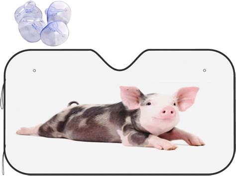 Car Windshield Sun Shade White Daisy Flowers Butterfly Black Foxtail