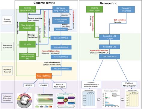 Workflow Of Commonly Used Bioinformatic Strategies And Tools For