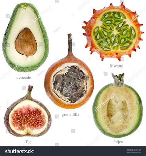 Name Of Exotic Fruit At Mackenzie Mathy Blog
