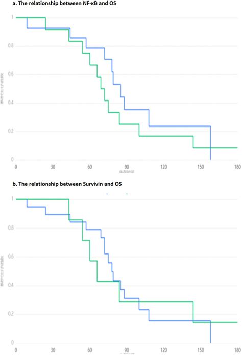 The Relationship Between Nf κb And Survivin And Os A The