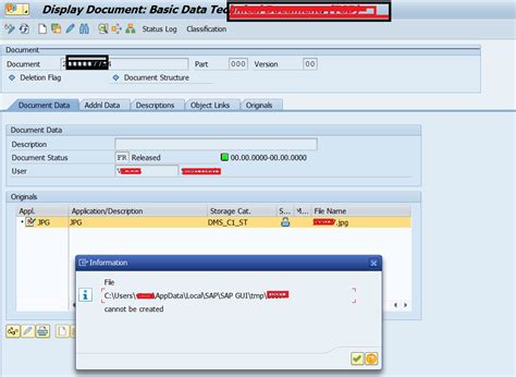Solved Unable To Open Dms Files In Test System After Clie Sap