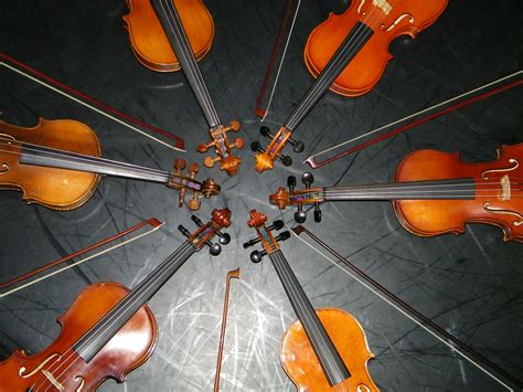 Violon – Ecole de Musique Verthamon