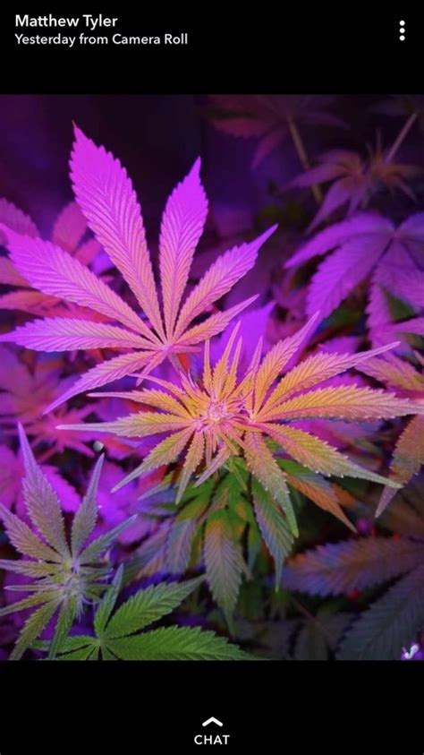 Katelyn Taylor Katelyntaylor Onlyfans