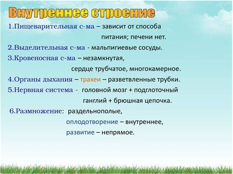 Насекомые Типы развития насекомых презентация онлайн