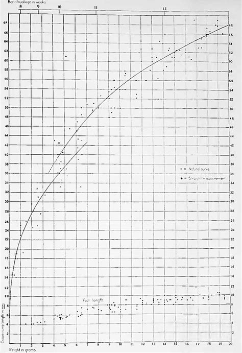 Book Contributions To Embryology Carnegie Institution No55 Embryology