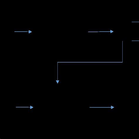 The Dual Network System Consisting Of A Bnn And Ann Is Shown Above The Download Scientific