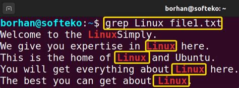 The “grep” Command In Linux 10 Practical Examples