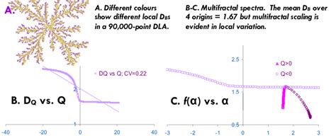 Multifractal Scaling For A 90000 Point Dla Download Scientific Diagram
