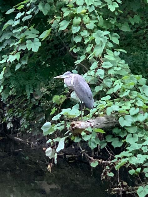 Jj Blitstein Posted On Linkedin