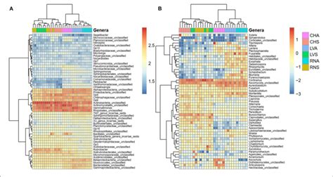 Heatmap Showing The Abundances Of The 50 Most Abundant A Download Scientific Diagram