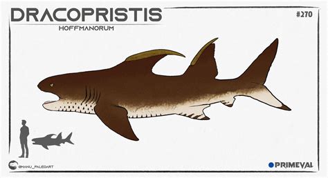 🧬 Asset Revealed Dracopristis 🔹 Dracopristis Often Nicknamed The