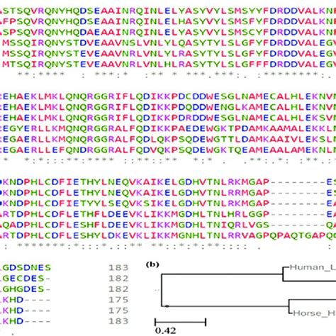 A Multiple Sequence Alignment Of Mouse L Chain Uniprot Database
