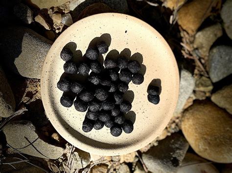 Omani Mamool Bakhoor Lulu Sweet Woody Incense Tablets Etsy