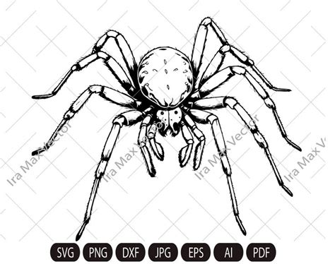 Spider Svg Spider Design Svg Spider Details Spider Dxf Spider Png