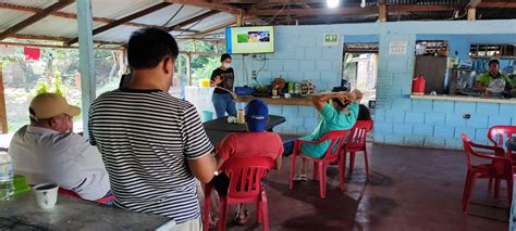 Guía Paso A Paso Para Crear Un Plan De Conservación Exitoso