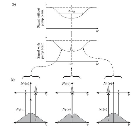 Theory Saturated Absorption Spectroscopy Openquantum