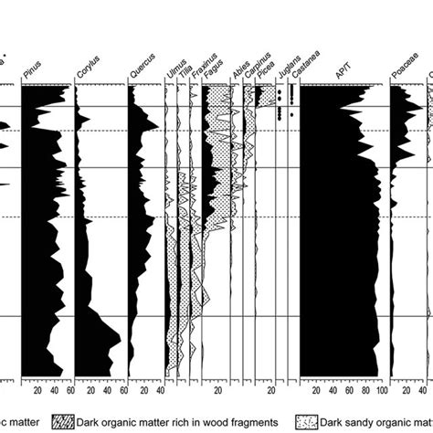 Pollen Diagram Of Kobert Haut Sequence Versus Age Cal Bp Download Scientific Diagram