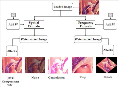 Watermarking Attacks Type Download Scientific Diagram