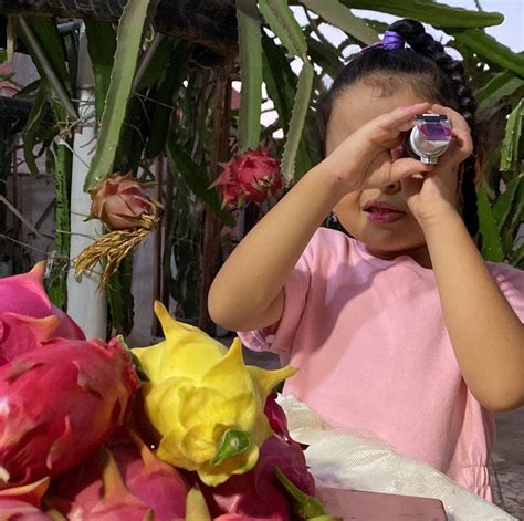 فاكهة التنين 🌵🍈 ألوان جذابة، طعم لا يُقاوم، وجودة عالية للطلب والشراء