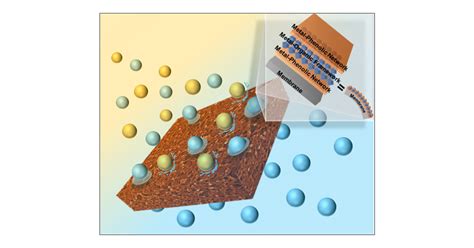 Superwetting Oilwater Separation Membrane Constructed From In Situ Assembled Metalphenolic