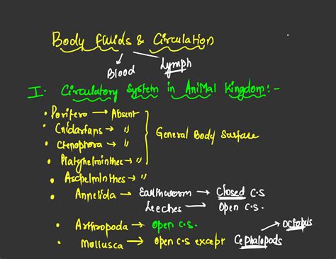 Solution Body Fluids And Circulation With Mind Map Studypool