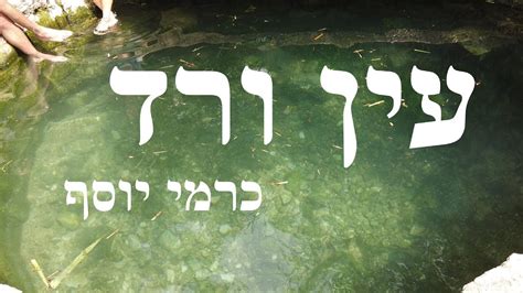 מעיין עין ורד כרמי יוסף מעיין בדקה וחצי Youtube