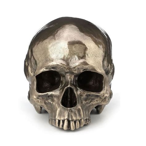 Human Skull Jawless Statue — Allsculptures